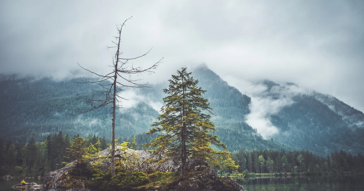 Angel Number 18 Meaning - Connection To The Manifestation Of The Thought