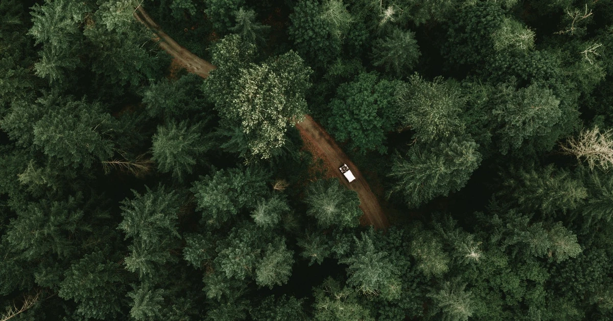 433 Angel Number Meaning - Embrace The Possibilities Of Your Life