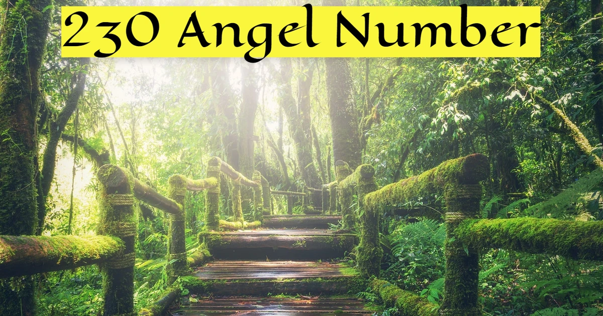 230 Angel Number Symbolizes Optimistic Attitude, Creativity, And Strength