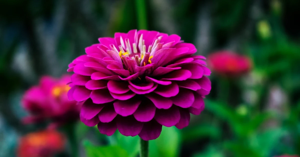 534 Angel Number - The Ability To Embrace Change