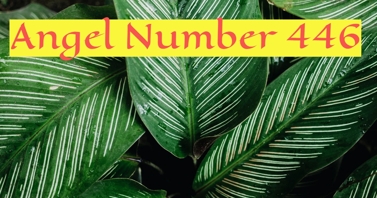 446 Angel Number Symbolizes Patience, Loyalty, And Coordination