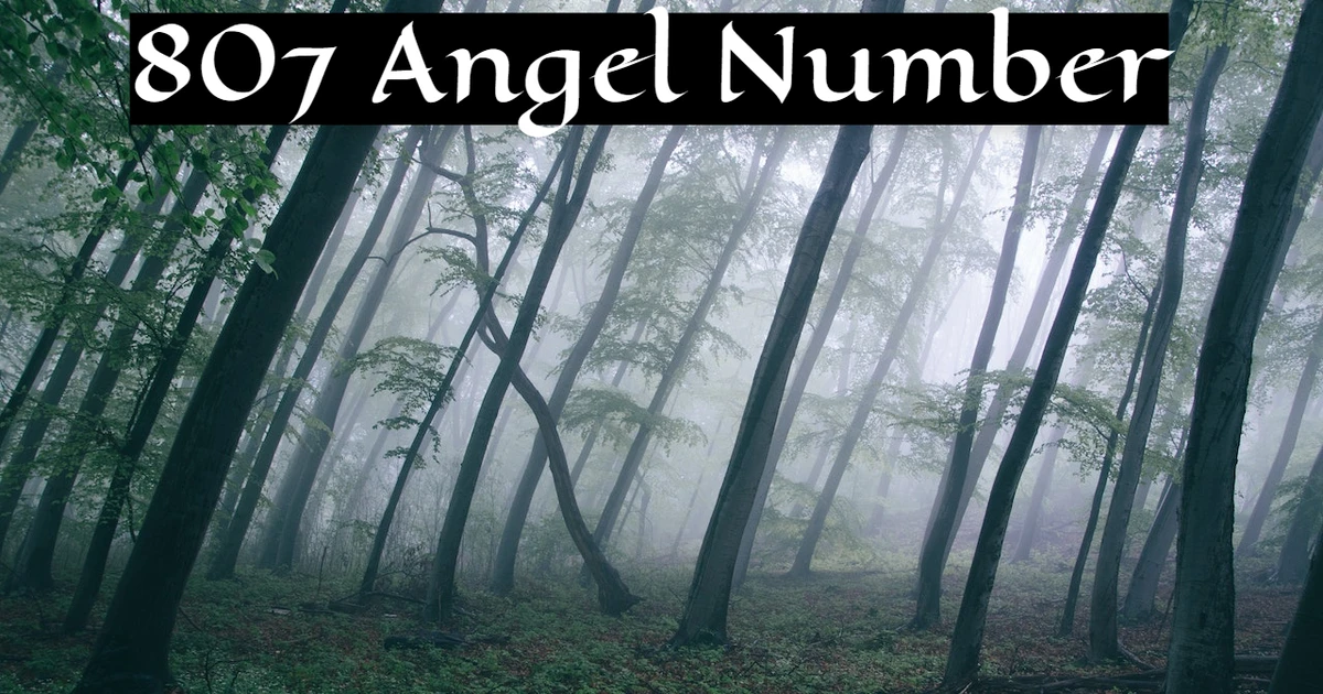 807 Angel Number - Messages Of Reassurance And Validation