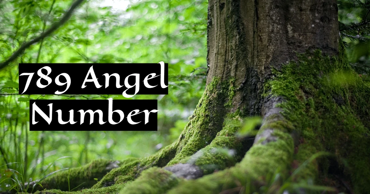 789 Angel Number - A Sign Of Focusing On Your True Purpose