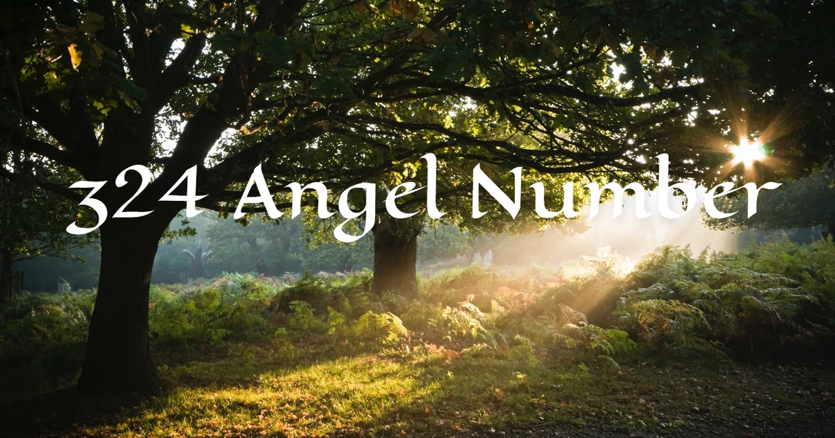 324 Angel Number - The Importance Of Engaging