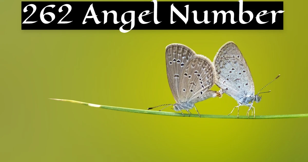 262 Angel Number Meaning And Symbolism