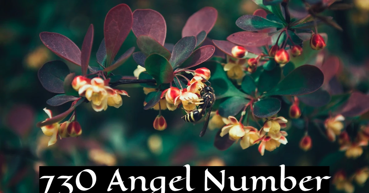 730 Angel Number Symbolizes Emotional Irreconcilable Romance