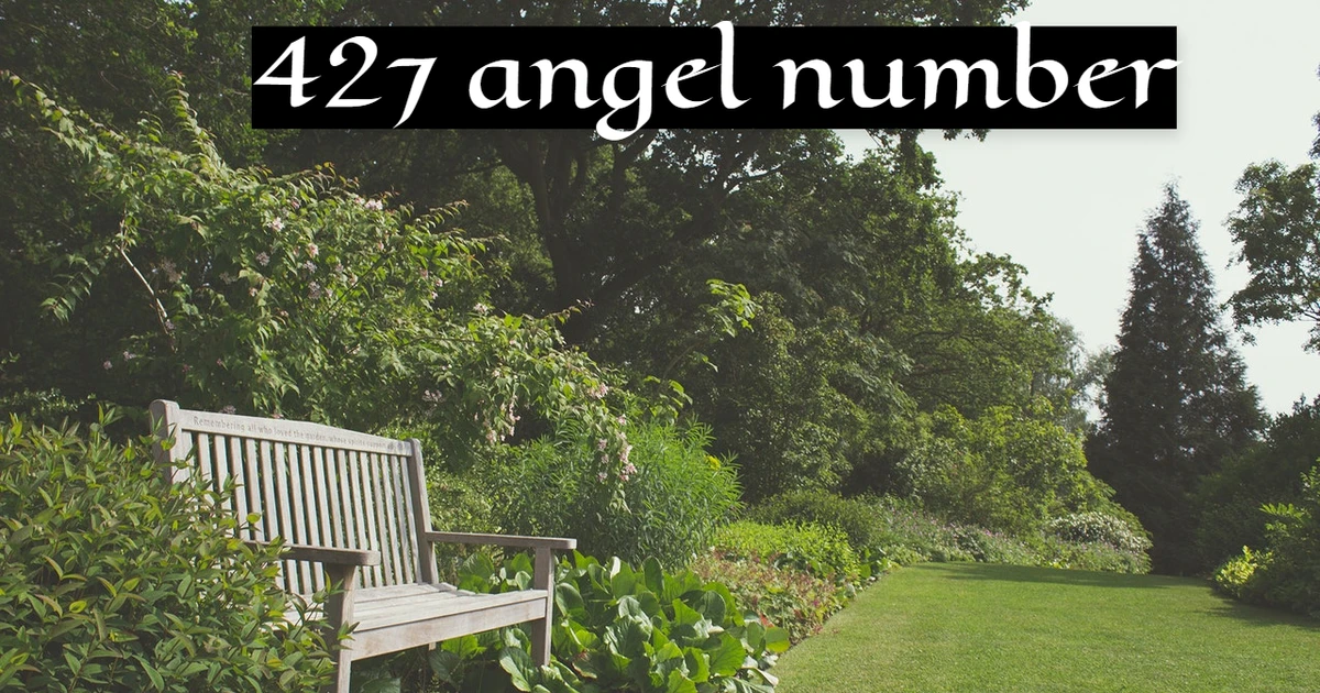 427 Angel Number Meaning - High Regard