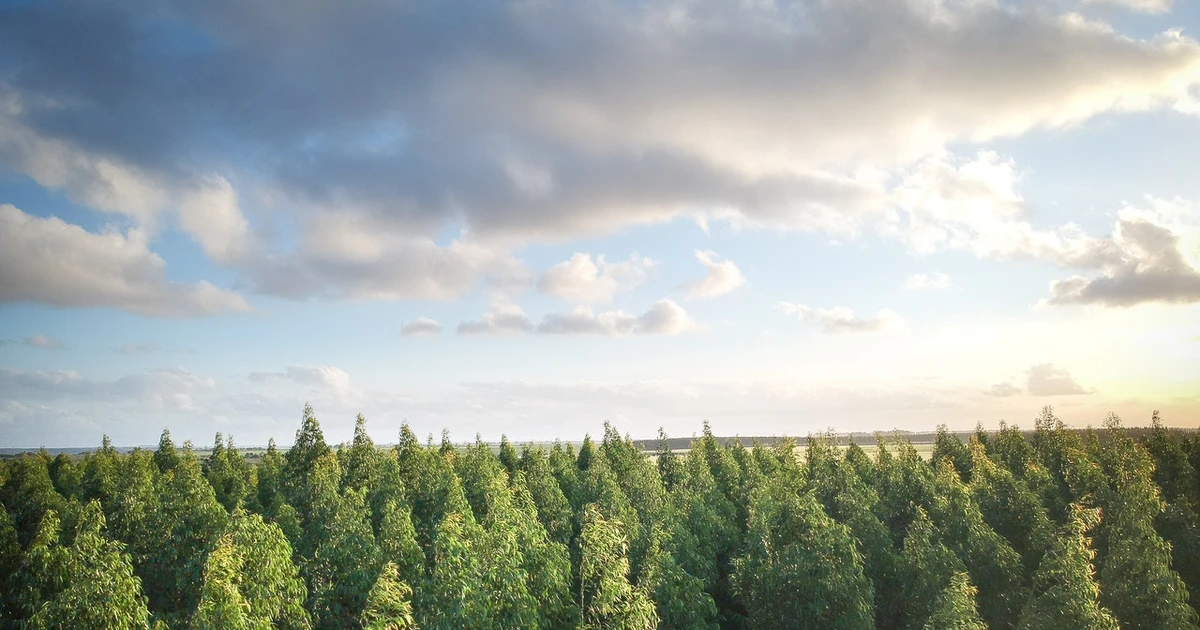 How Do You Find Your Angel Number?