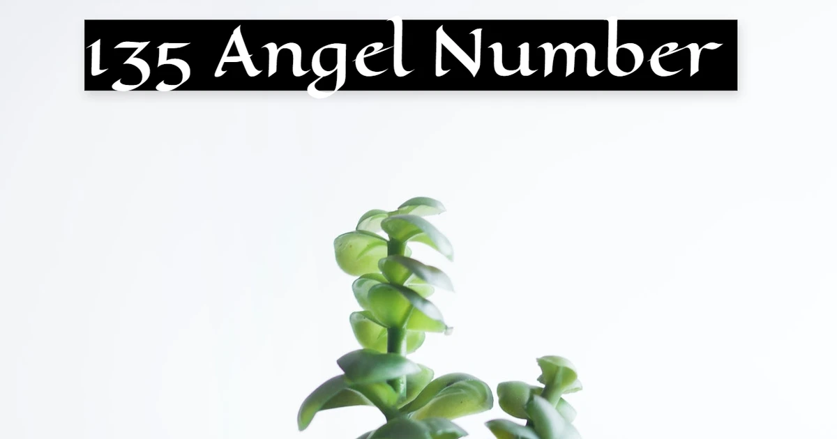 135 Angel Number - A Luckiest Number