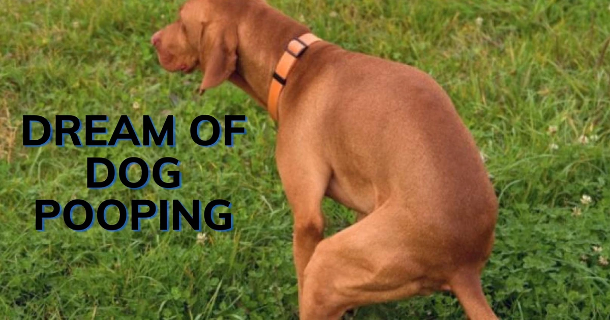 Dream Of Dog Pooping - It Signifies Major Changes Ahead