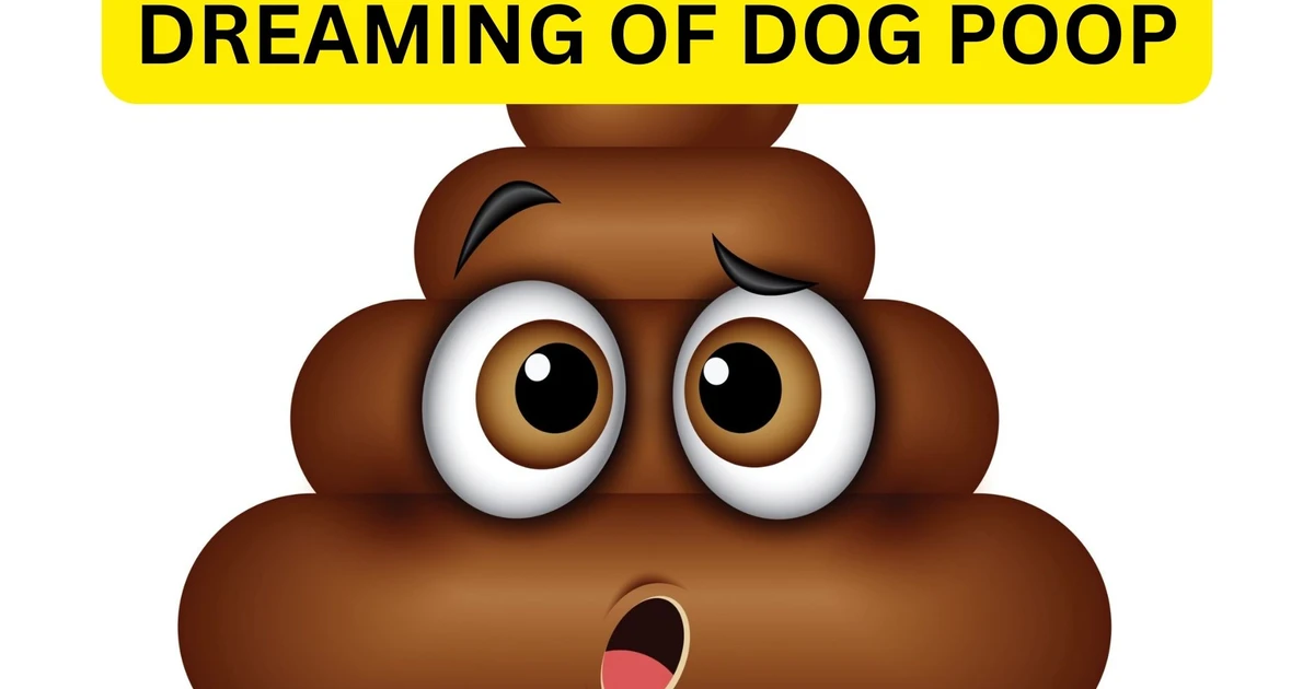 Dreaming Of Dog Poop - It Indicates An Unpleasant Experience
