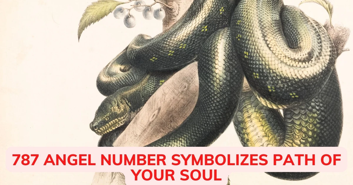 787 Angel Number Symbolizes The Path Of Your Soul