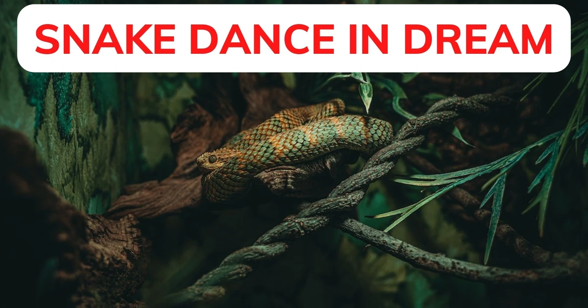 Dreams About Black Snakes Dance - Indicates A Difficulty In Making ...