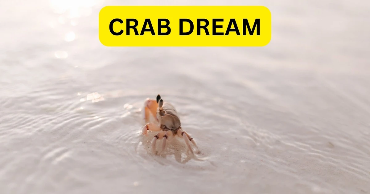 Crab Dream - It Signifies Hiding Something From Others
