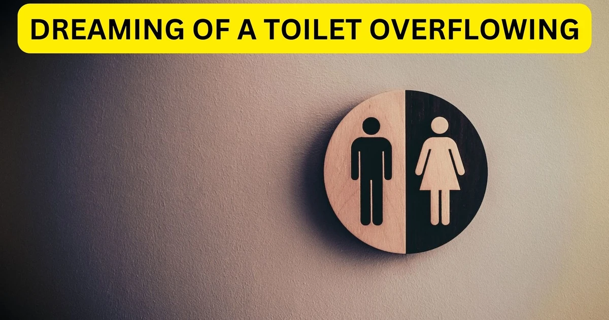 Dreaming Of A Toilet Overflowing - A Sign Of Declining Metabolic Function