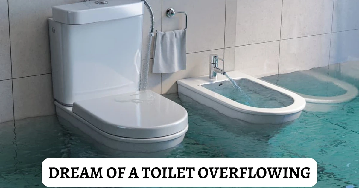 Dream Of A Toilet Overflowing - Meaning & Symbolism