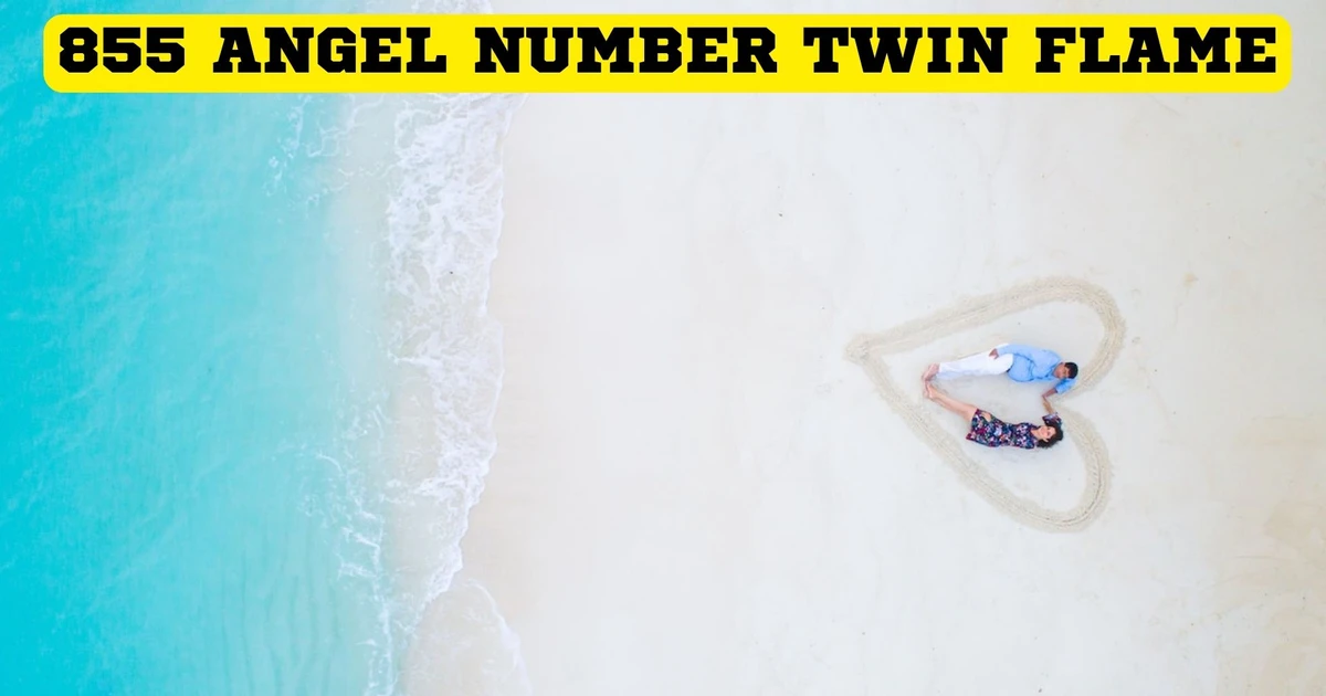 855 Angel Number Twin Flame - A Perfect Reflection Of You