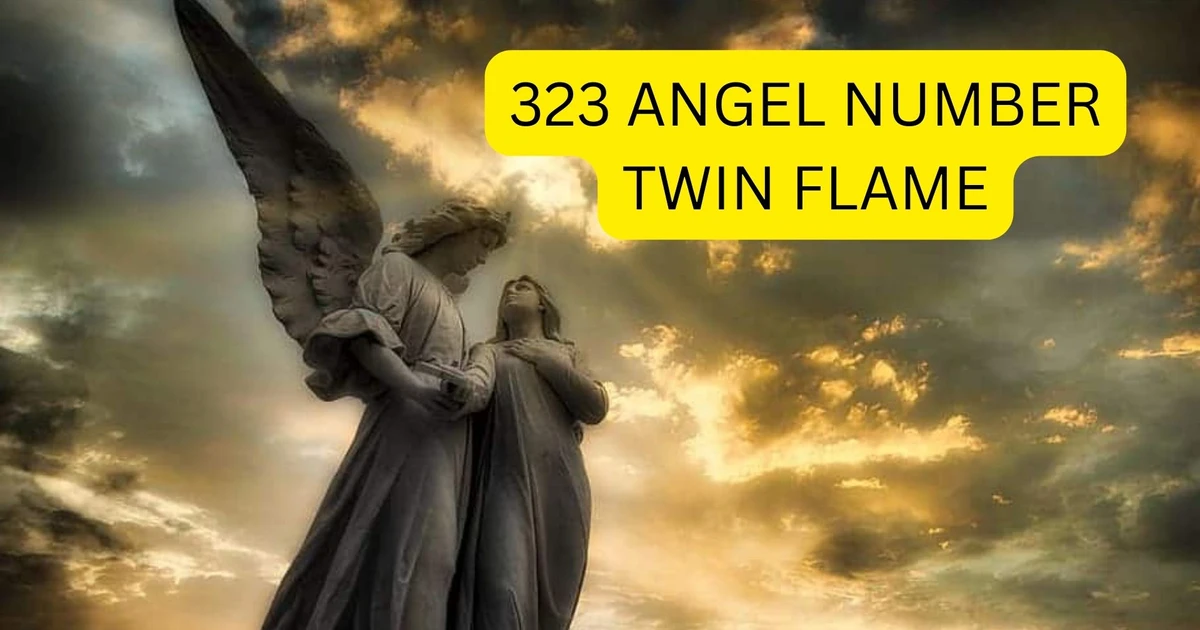 323 Angel Number Twin Flame - A Divine Message To Stay Positive