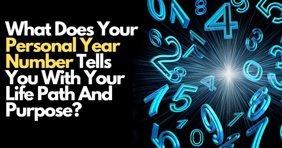 Personal Year Number - What Does It Tell You About Your Life Path And ...