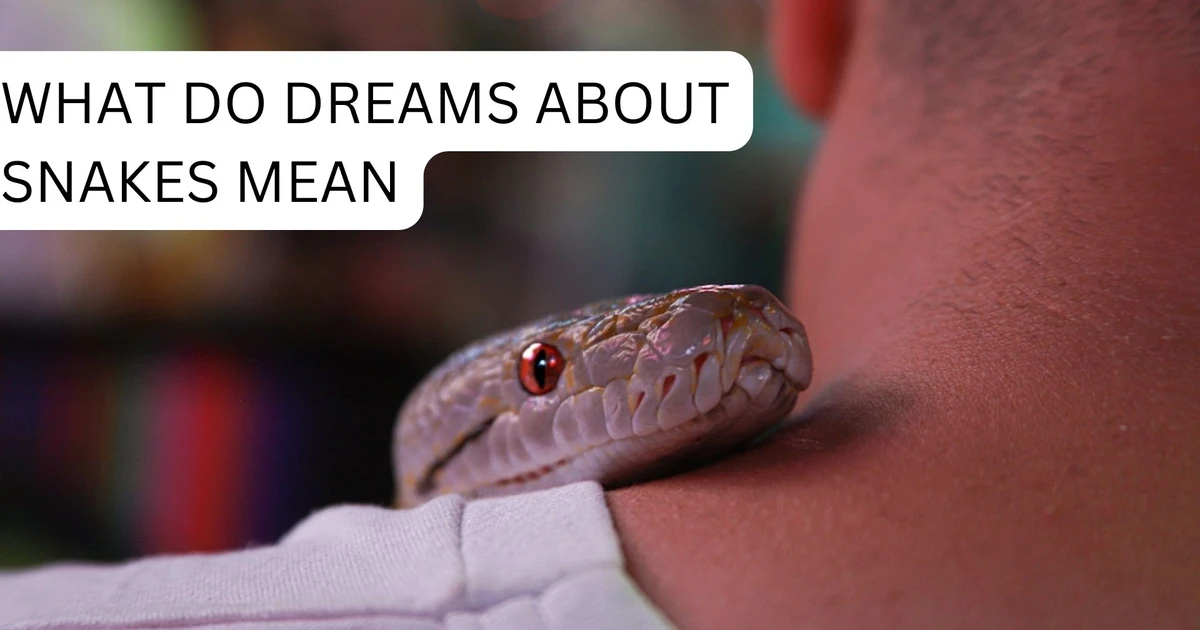 What Do Dreams About Snakes Mean & Symbolize?
