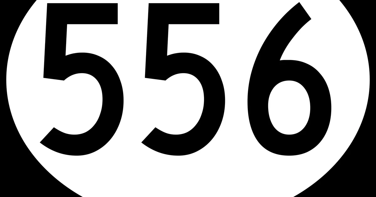 Why Do I Keep Seeing The Angel Number 556?